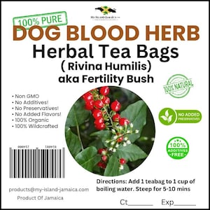 Dog Blood Herb Herbal Tea Bags (rivina Humilis Aka Fertility Bush ...