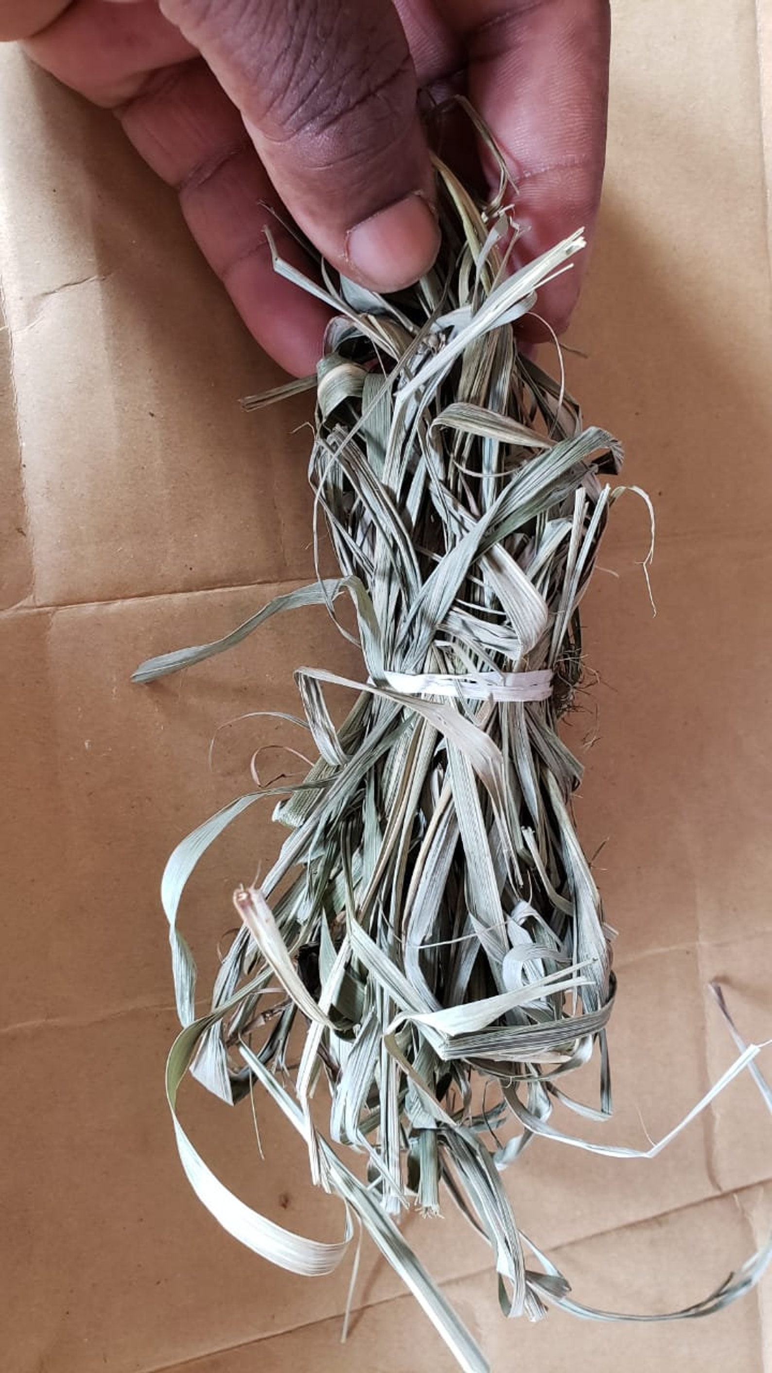 WILDCRAFTED Lemon Grass Aka Jamaican Fever Grass / Cymbopogon Citratus ...