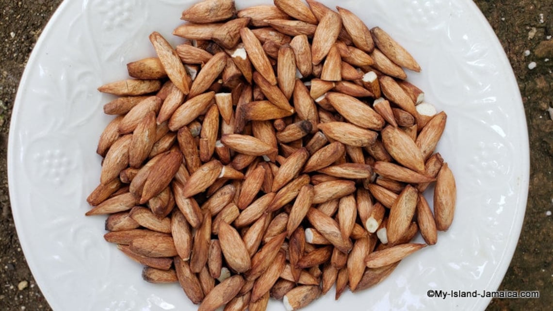 100% Jamaican ALMOND NUTS tropical Almond Superfood | Etsy