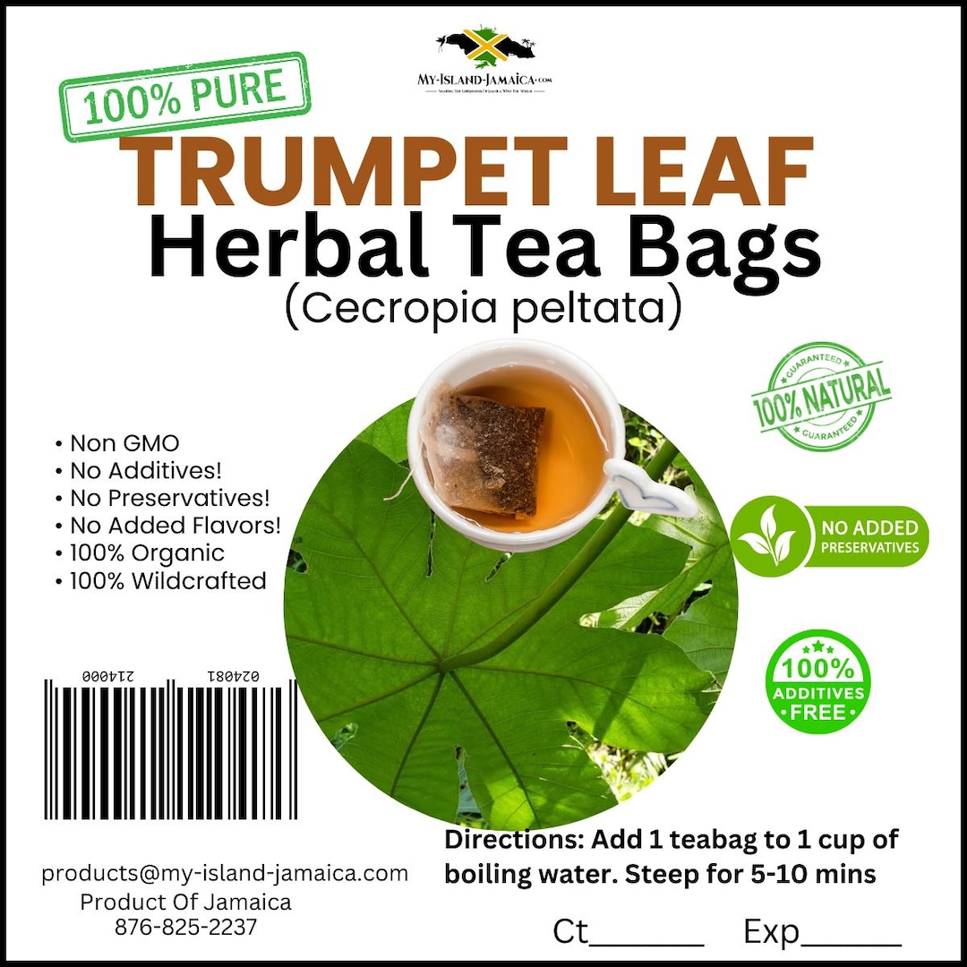 Trumpet Leaf TEA BAGS (cecropia Peltata) | 100% Wildcrafted Jamaican ...