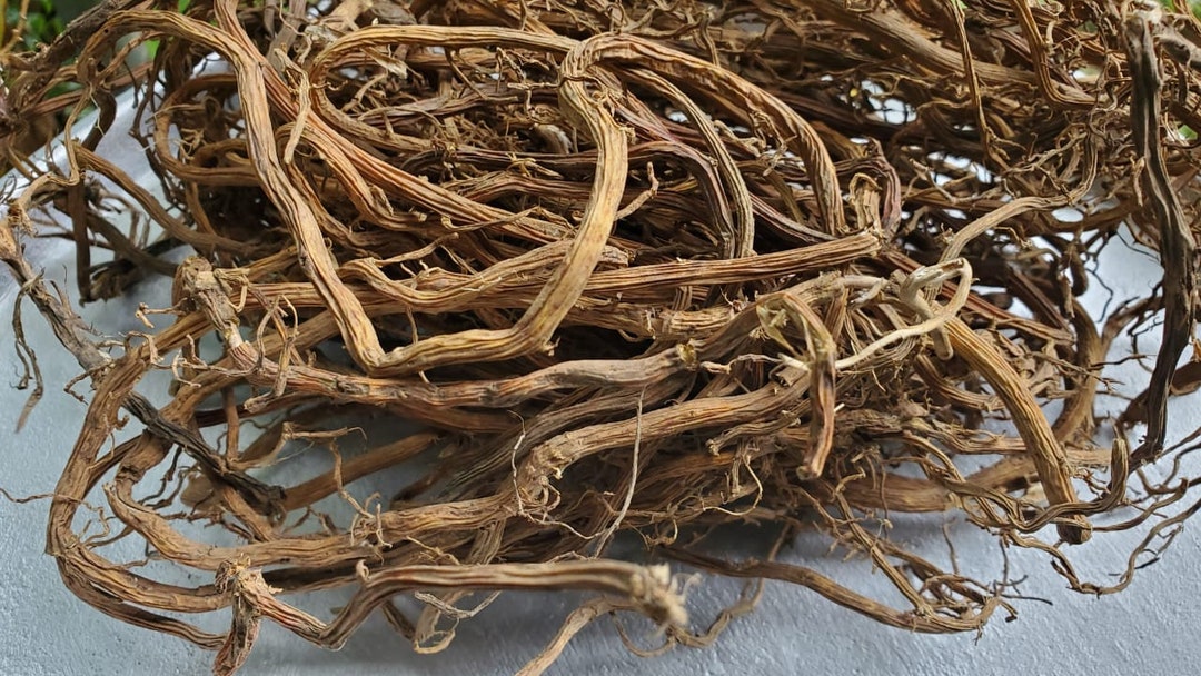 100% DRIED SARSAPARILLA Root (smilax Ornata) - FREE Shipping ...