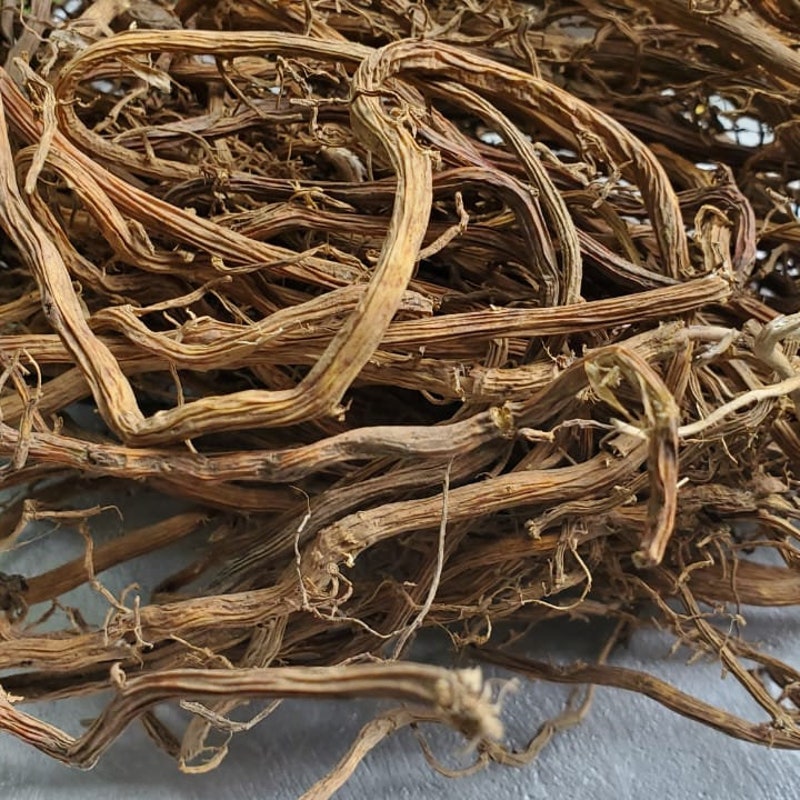 Sassafras Root - Etsy