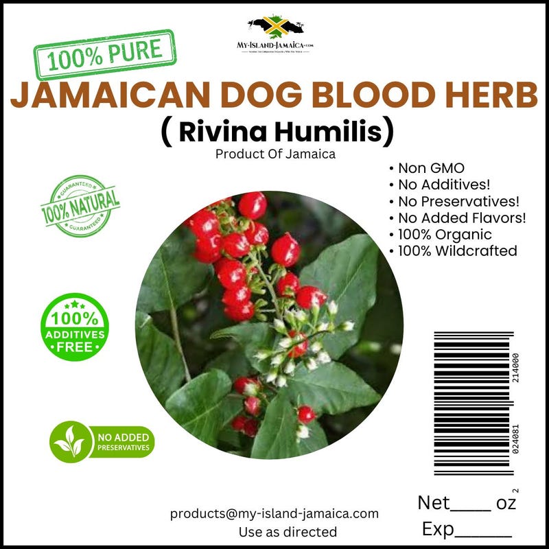 Blood of God Plant for Sale - Etsy Canada