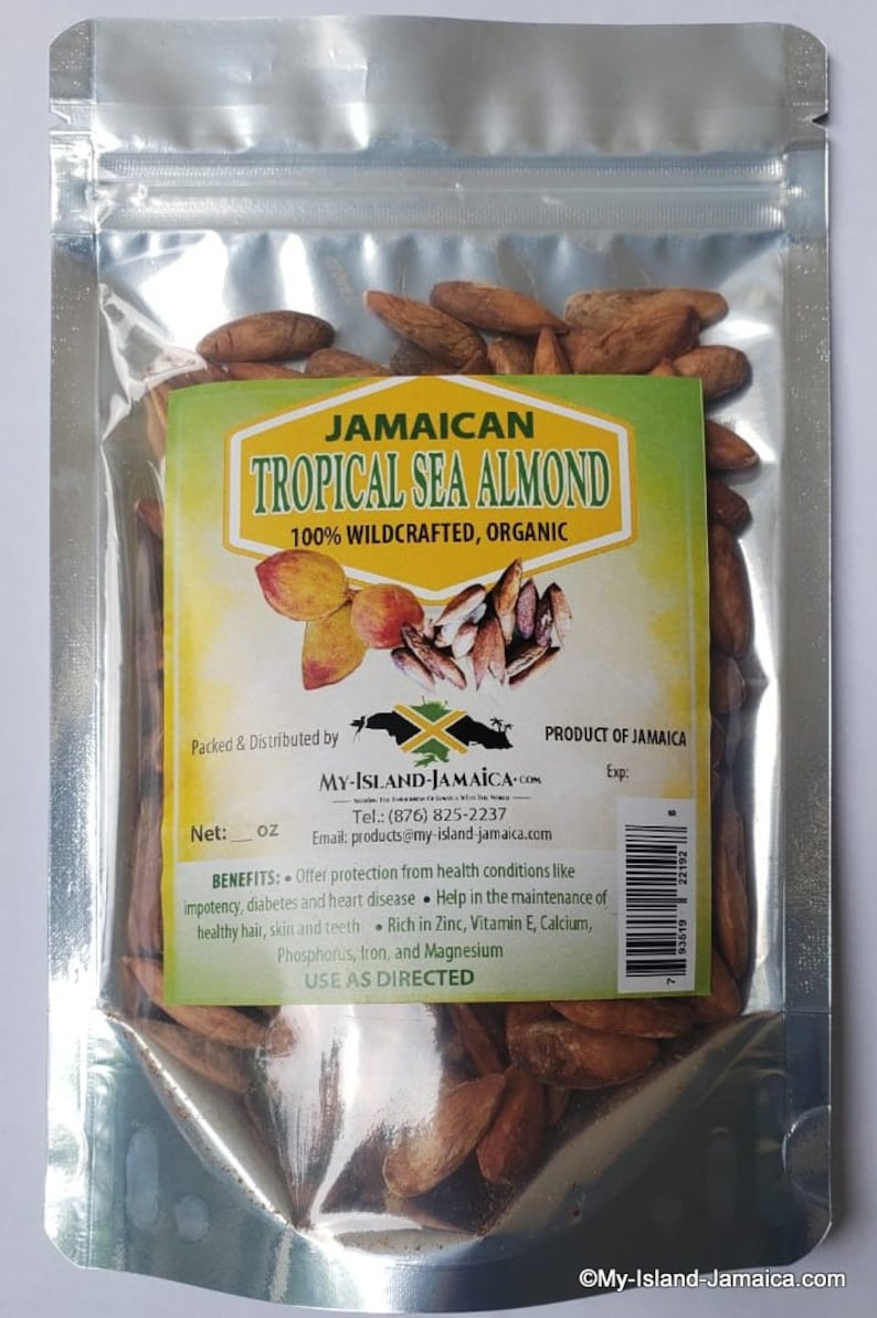 100% Jamaican ALMOND NUTS tropical Almond Superfood - Etsy UK