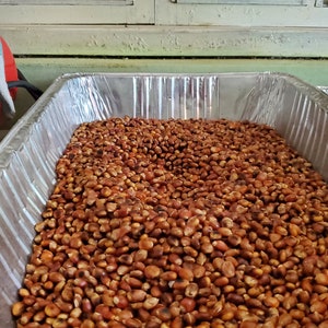 Corn Asham (100% Jamaican Parched Corn) | Jamaican Desserts | Asham ...