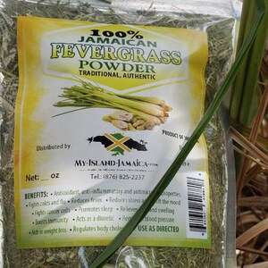 WILDCRAFTED Lemon Grass Aka Jamaican Fever Grass / Cymbopogon Citratus ...