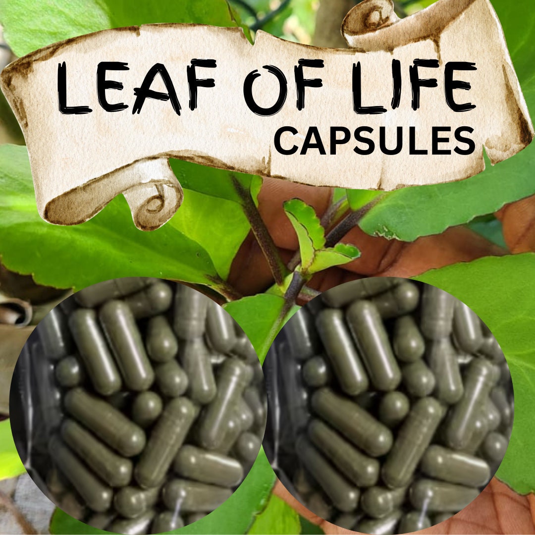 LEAF OF LIFE Vegan Capsules - Wildcrafted | 600mg - Organic High ...
