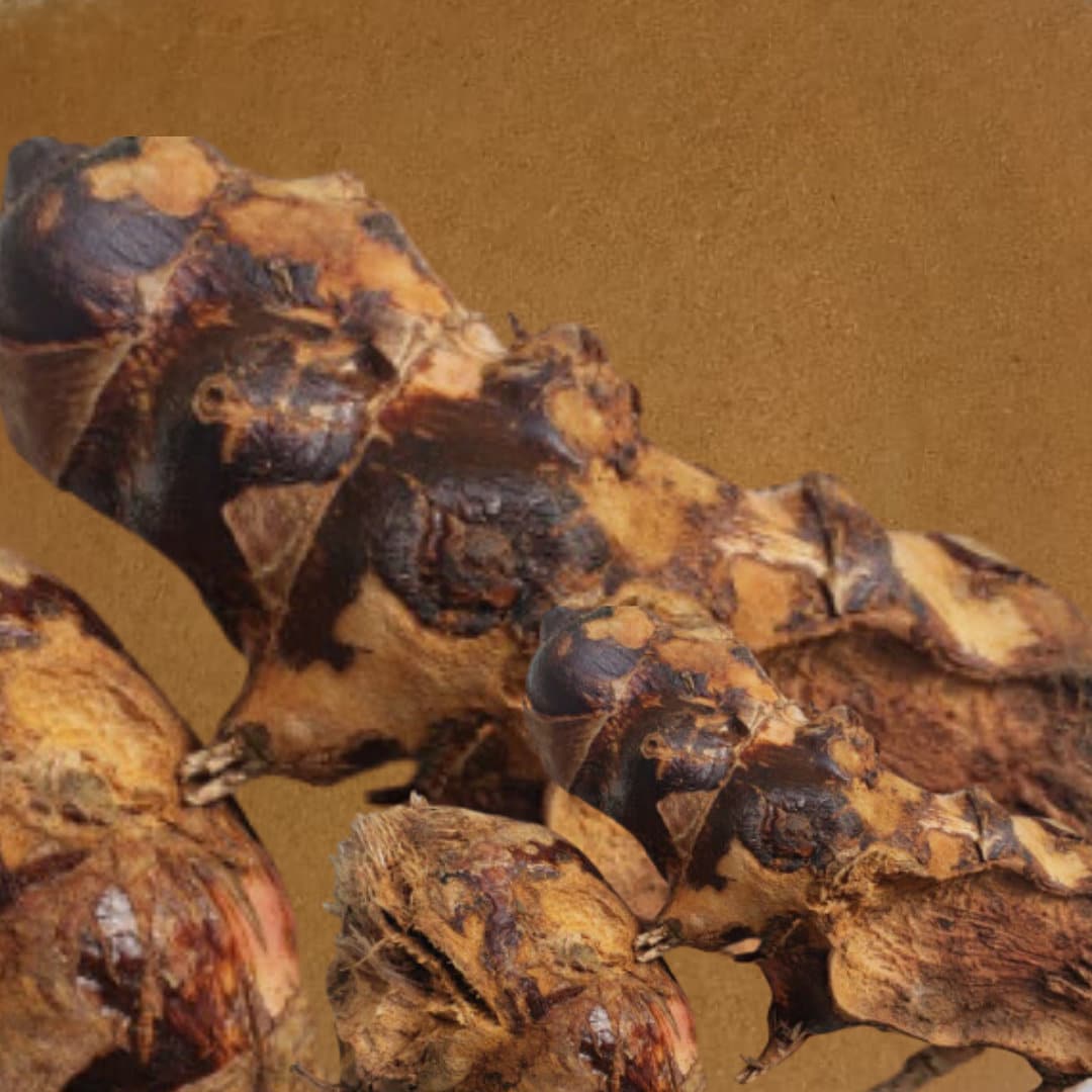 Organic CHANEY ROOT POWDER - 100% Jamaican (free Shipping ...