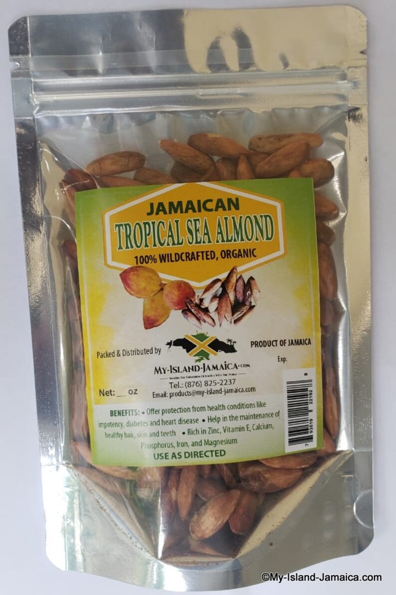 100% Jamaican ALMOND NUTS Tropical Almond SuperFood | Etsy
