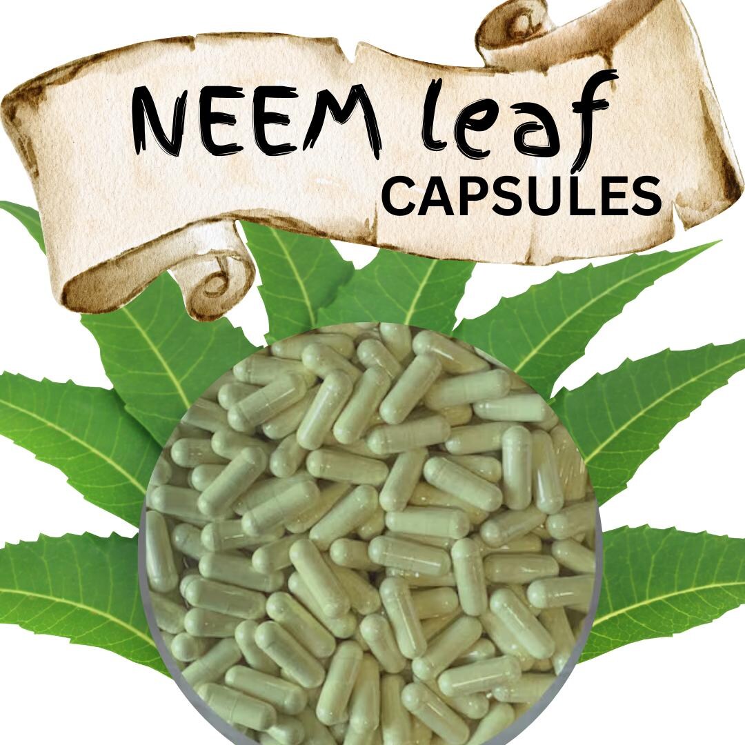 NEEM LEAF Capsules - Wildcrafted | 600mg - Organic High Potency | 100% ...