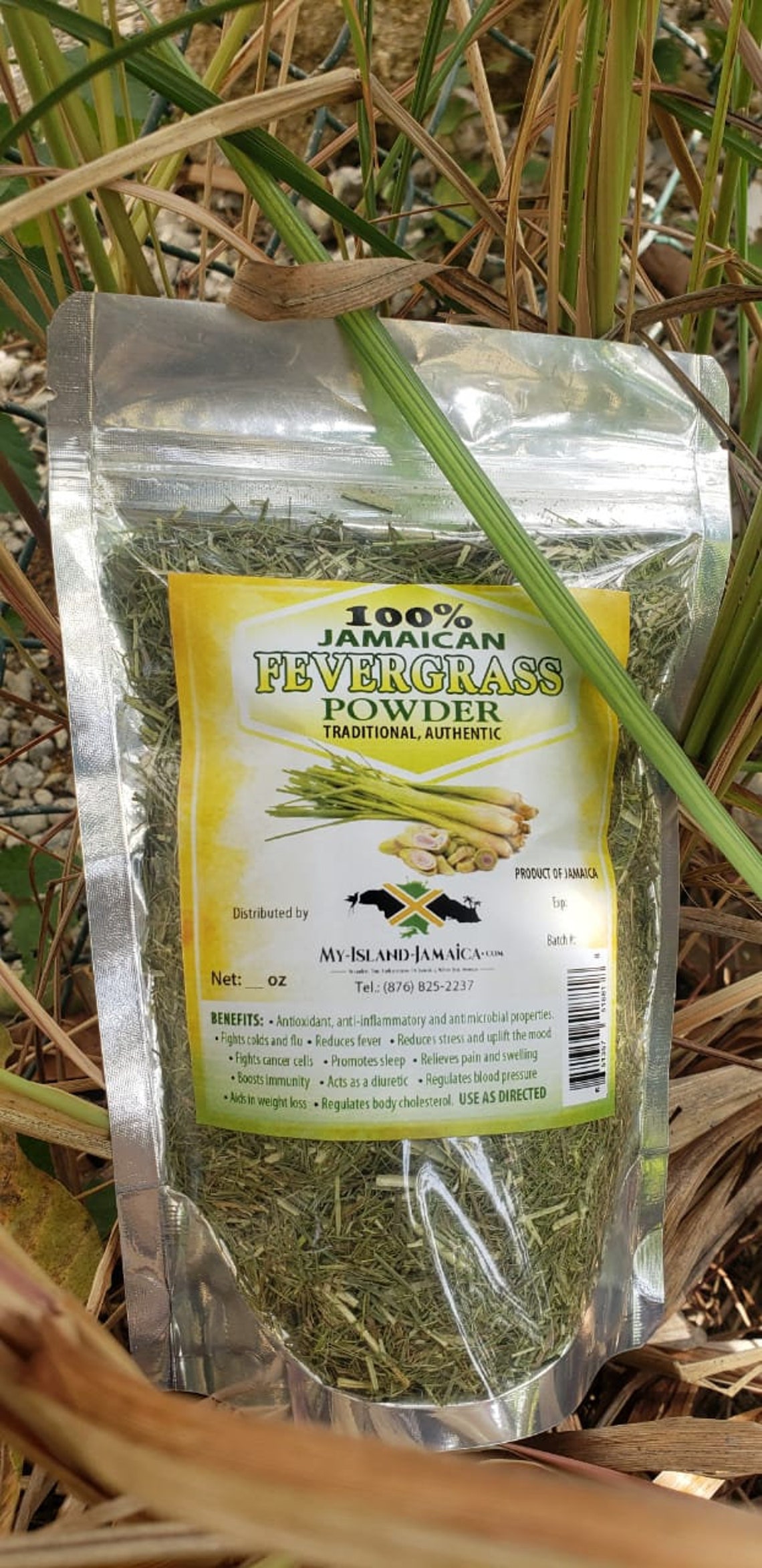 Jamaican Fever Grass Jamaican Lemon Grass Organically Grown Etsy