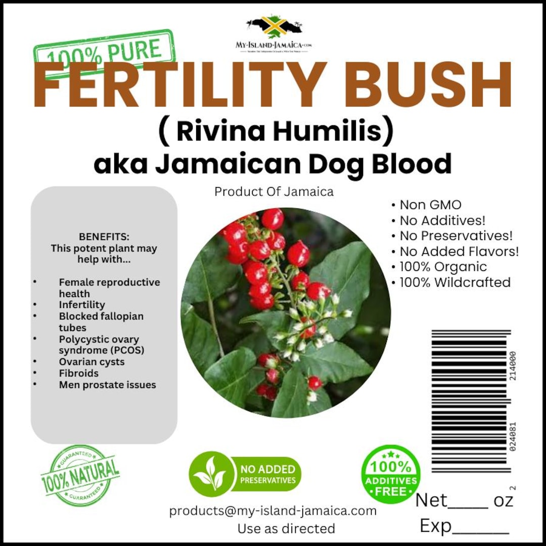 Fertility Bush ( Rivina Humilis ) | Dog Blood Herb | 100% ORGANIC ...