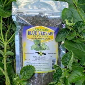 JAMAICAN VERVAIN 100% Wildcrafted Fresh Dried Verbena - Etsy