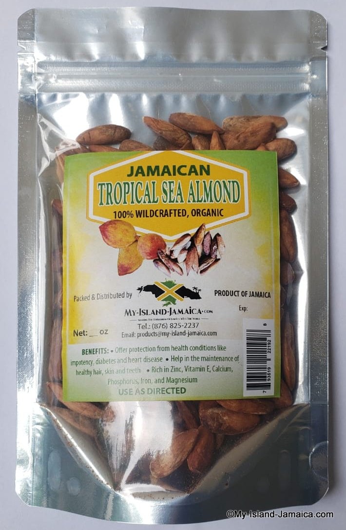 100% Jamaican ALMOND NUTS Tropical Almond SuperFood | Etsy
