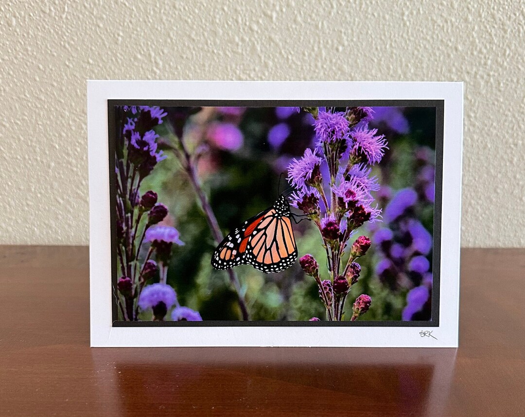 Unique Handmade Monarch Butterfly Blank Note Card - Etsy