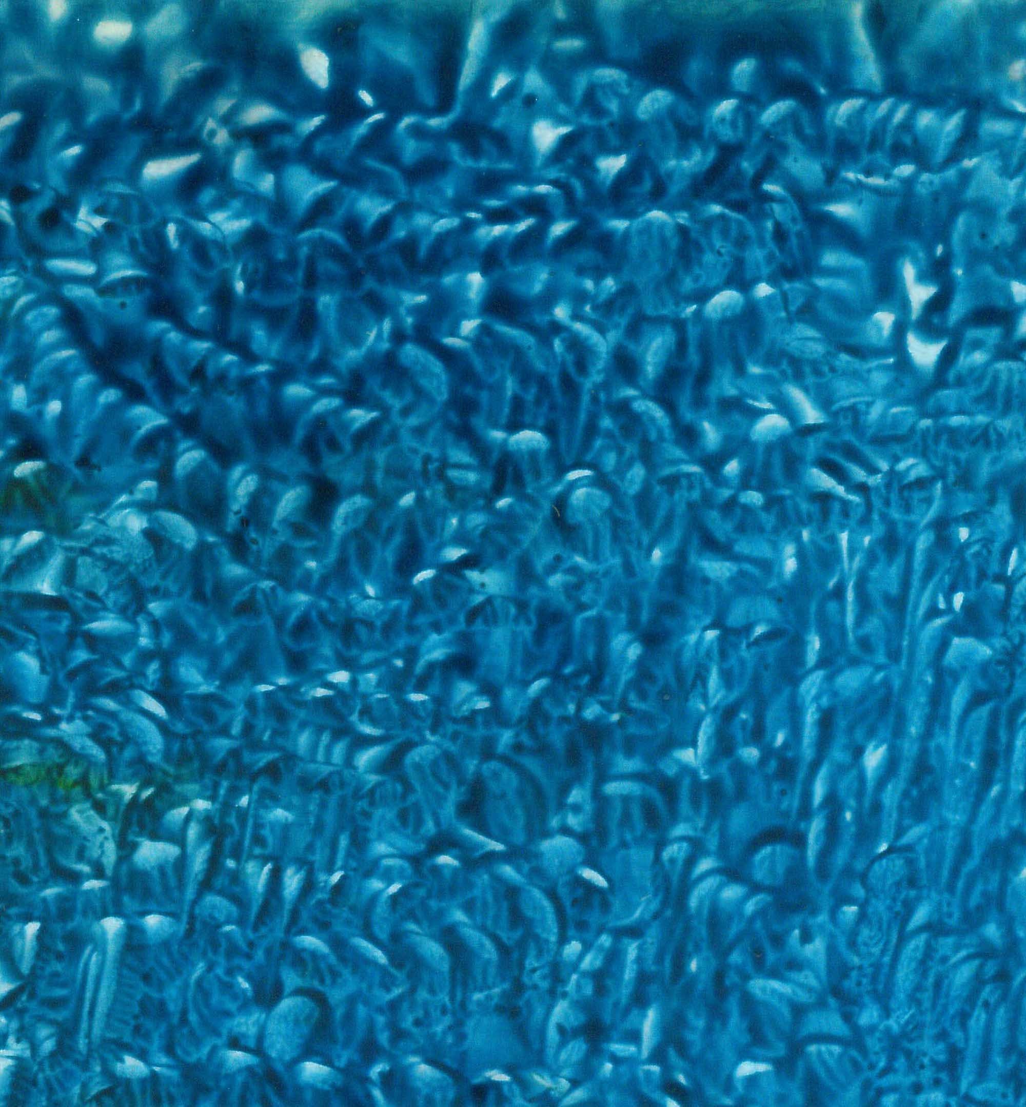 Original Multidimensional Painting by Artist DAPACU for Sale. Observe ...