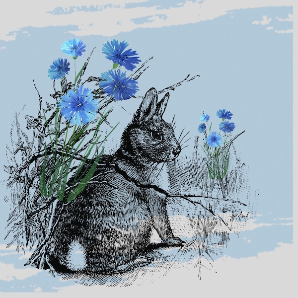 French Rabbit Image - Etsy