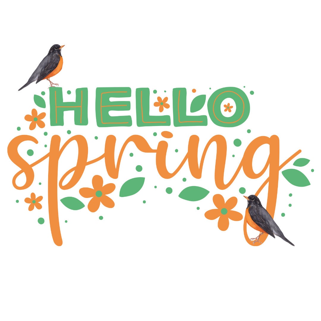 Hello Spring, Robin Birds PNG Digital Download. Bright Colors - Etsy