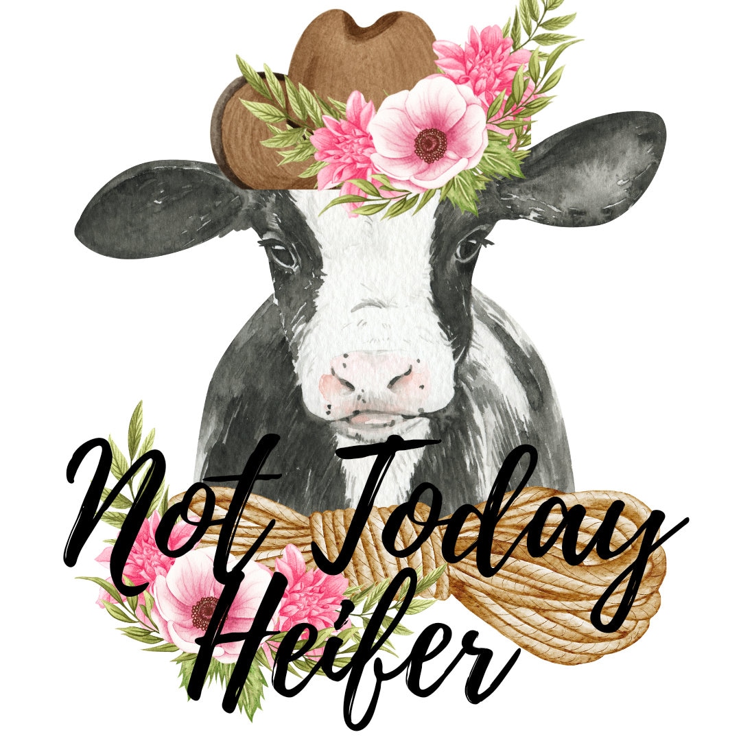 Not Today Heifer Png Download Png Holstein Cowfile Digital - Etsy