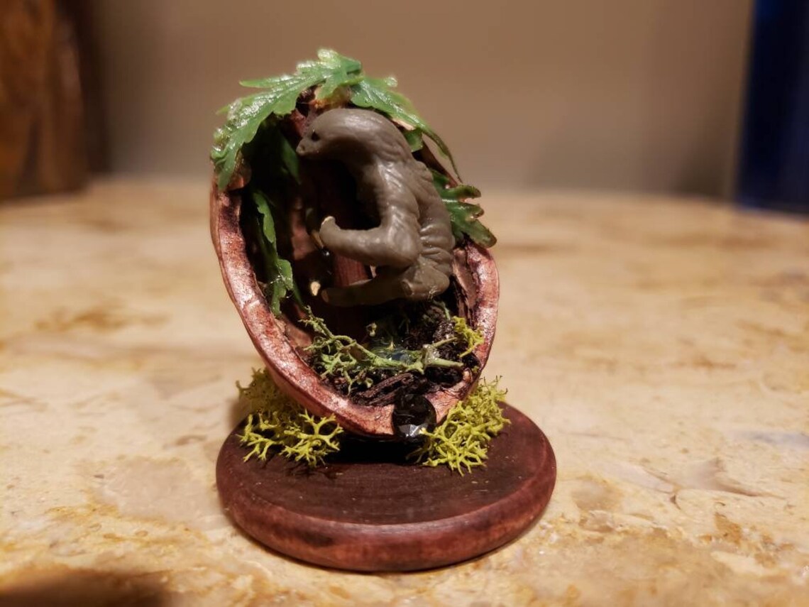 Mini Diorama Walnut Shell Forest Sloth - Etsy
