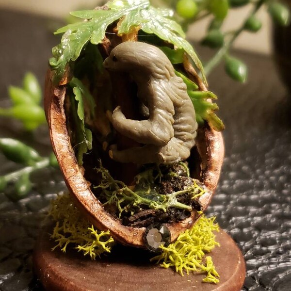 Sloth Diorama - Etsy