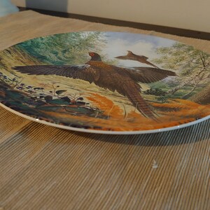 Royal Grafton Decorative Pheasant Plate - Fantastically Detailed and in ...