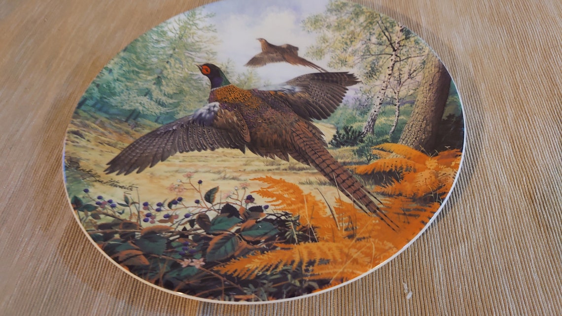Royal Grafton Decorative Pheasant Plate - Fantastically Detailed and in ...