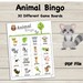 Animal Bingo, 30 Different Game Boards Printable Game Call Cards and ...