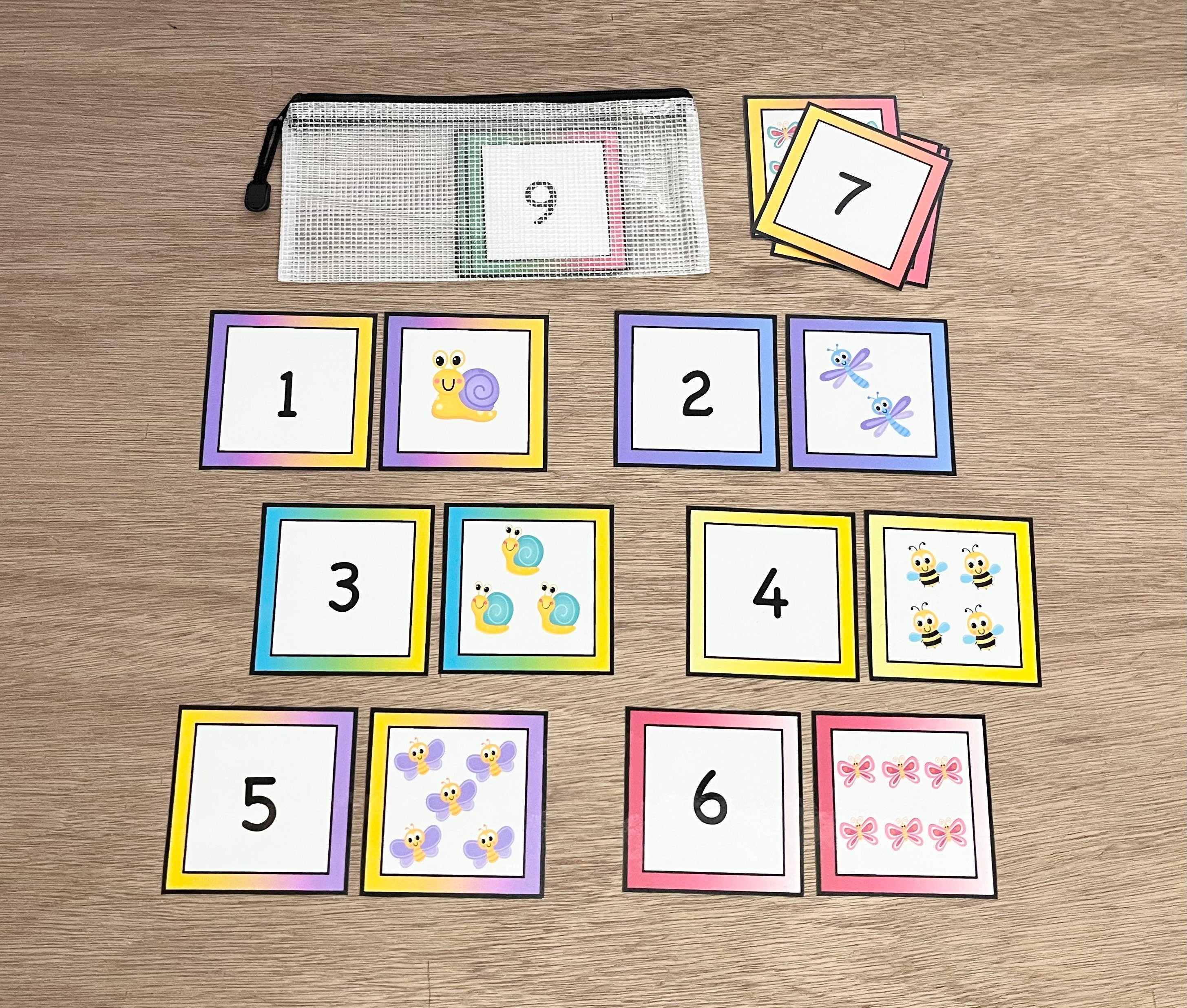 Counting Flash Cards Bugs Numbers 1 to 10 Laminated Numbers Flash Cards ...