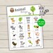 Animal Bingo - 30 Different Game Boards Printable Game - Call Cards and ...