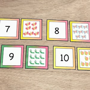 Counting Flash Cards Bugs Numbers 1 to 10 Laminated Numbers Flash Cards ...