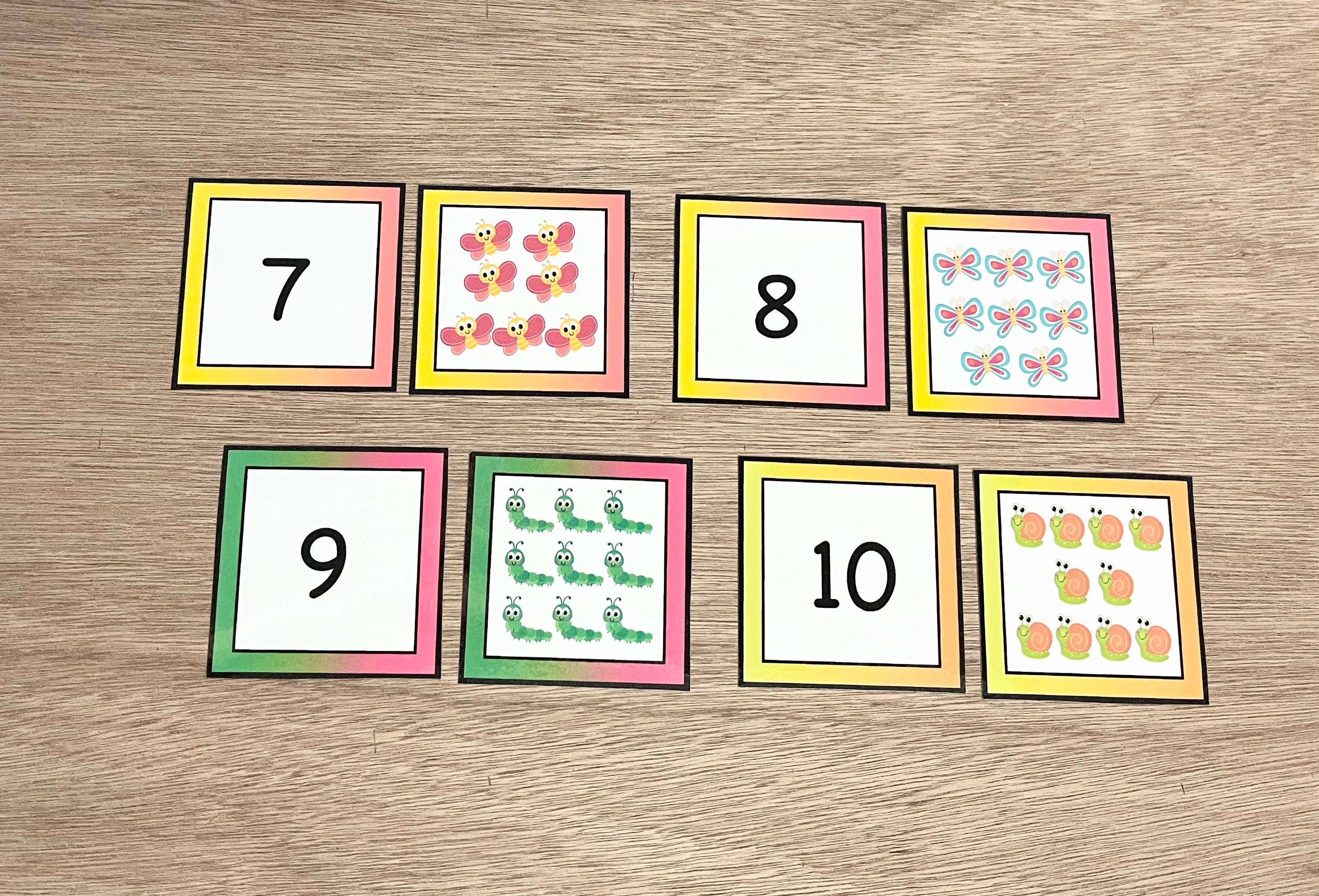 Counting Flash Cards Bugs Numbers 1 to 10 Laminated Numbers Flash Cards ...
