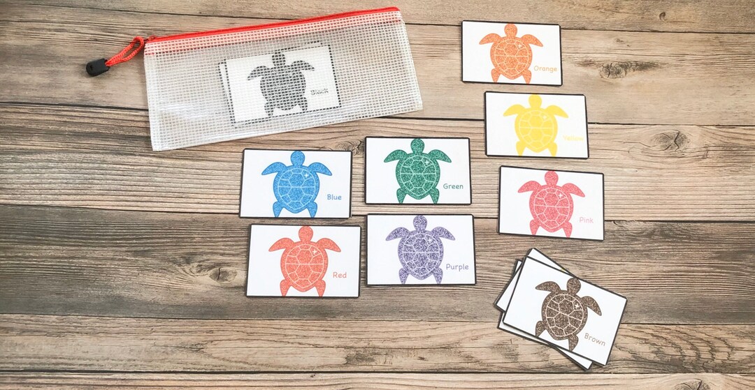 Colors Flash Cards Turtles Laminated 12 Different Colors - Etsy