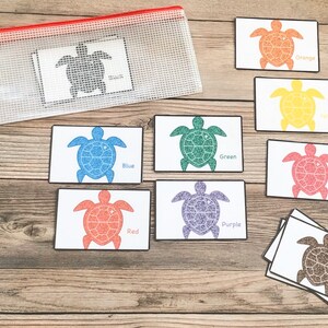 Colors Flash Cards Turtles Laminated 12 Different Colors - Etsy