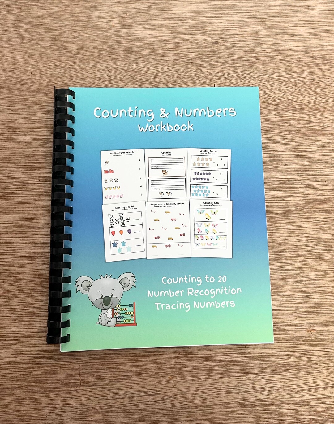 Counting and Numbers Workbook - Counting to 20 - Reusable Dry Erase or ...