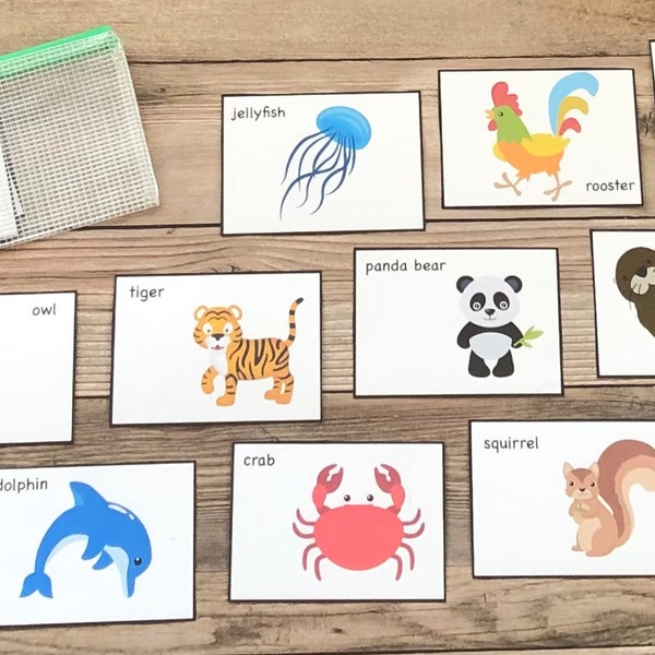 Animal Flash Cards - Etsy