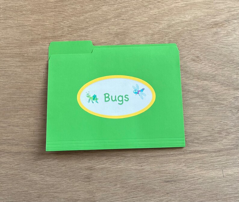 Bugs File Folder Game - Match Bugs - 12 Different Bugs - Etsy