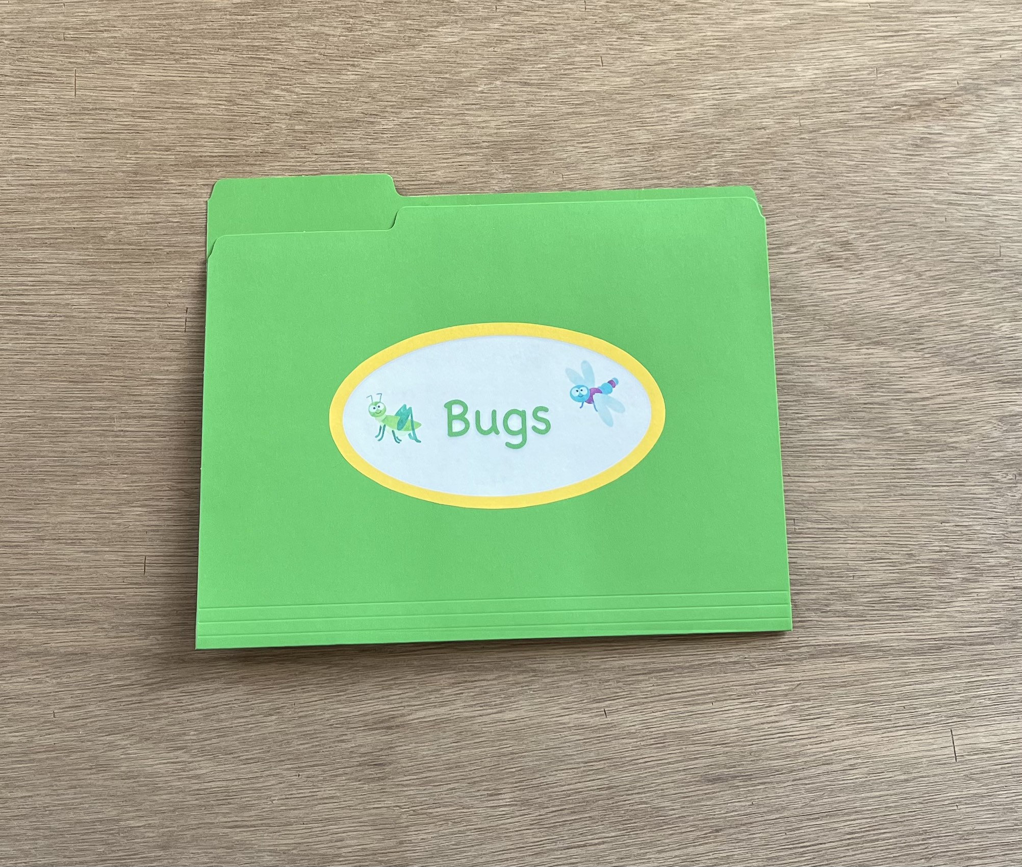 Bugs File Folder Game - Match Bugs - 12 Different Bugs - Etsy