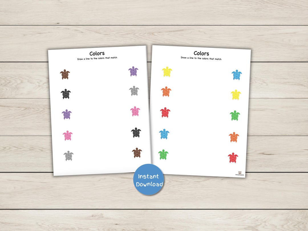 Matching Colors Worksheets - Turtles - 10 Colors - Instant Download - Etsy