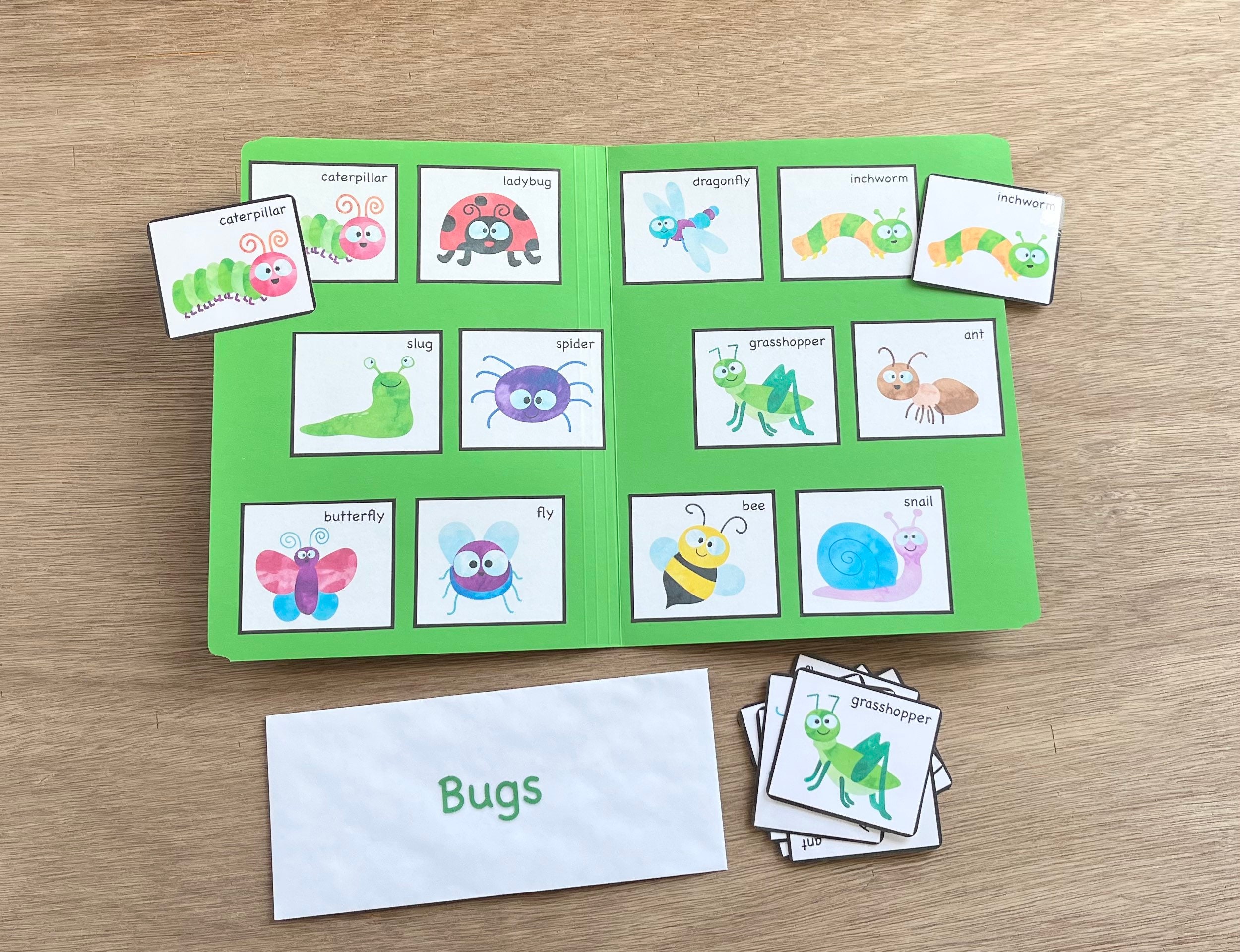 Bugs File Folder Game - Match Bugs - 12 Different Bugs - Etsy