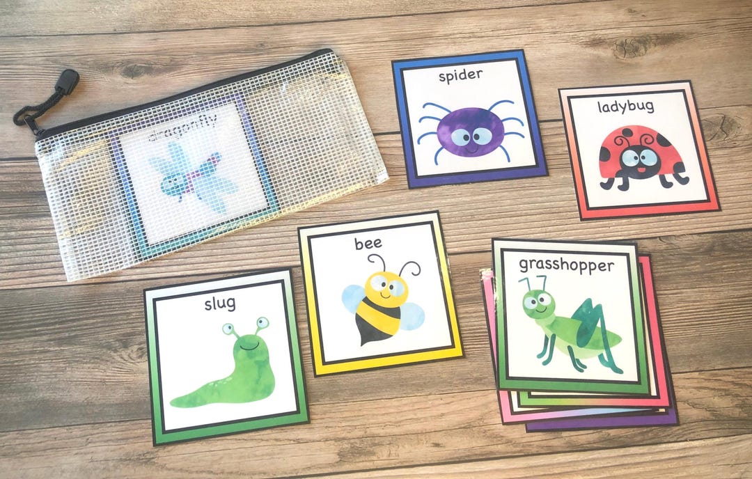 Bugs and Insects Flash Cards - Laminated - Comes With Zip Pouch - Etsy