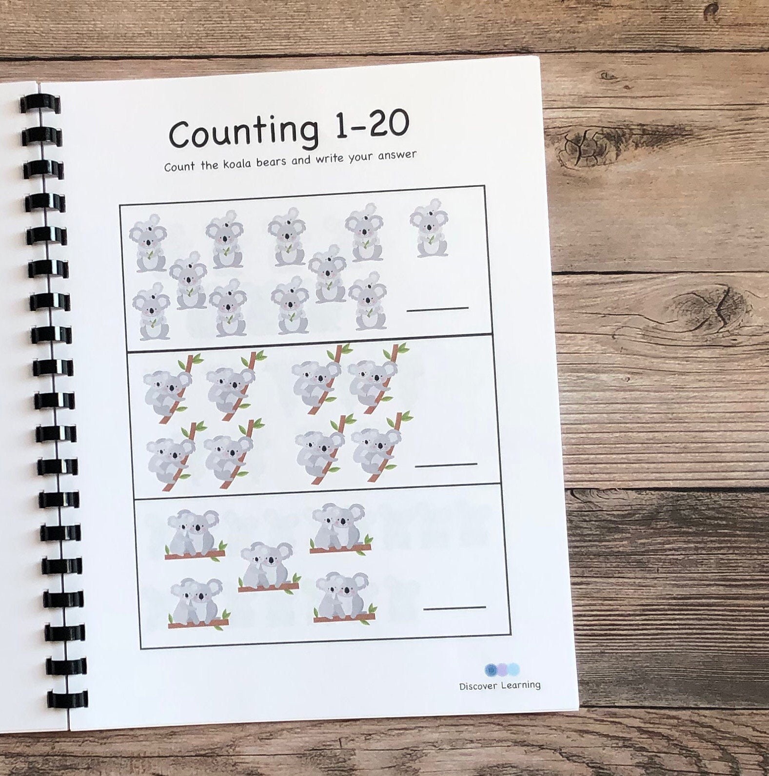 Counting and Numbers Workbook Counting to 20 Dry Erase or Regular Paper ...