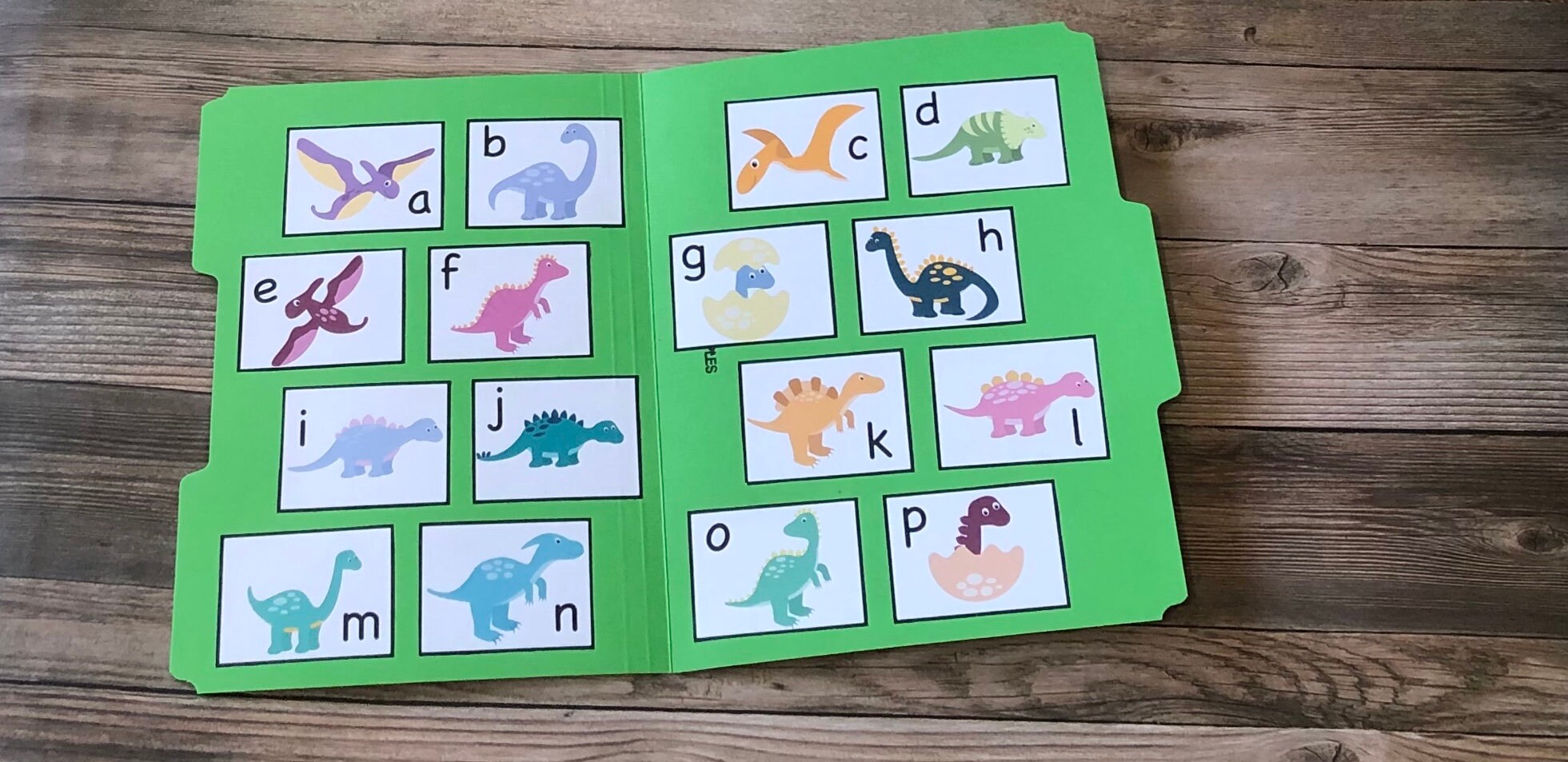 Alphabet File Folder Games Match Upper Lower Case Letters | Etsy