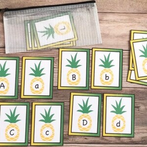Alphabet Flash Cards Letter Recognition Laminated 52 Cards Pineapple ...