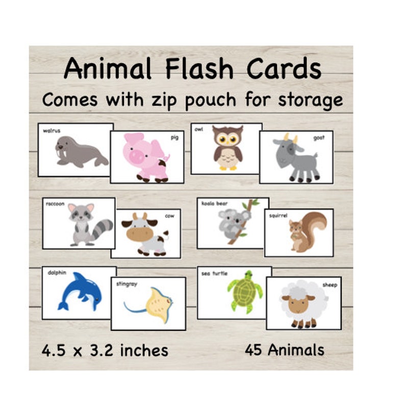 Animal Flash Cards - Laminated Learning Cards With Zip Pouch - Etsy