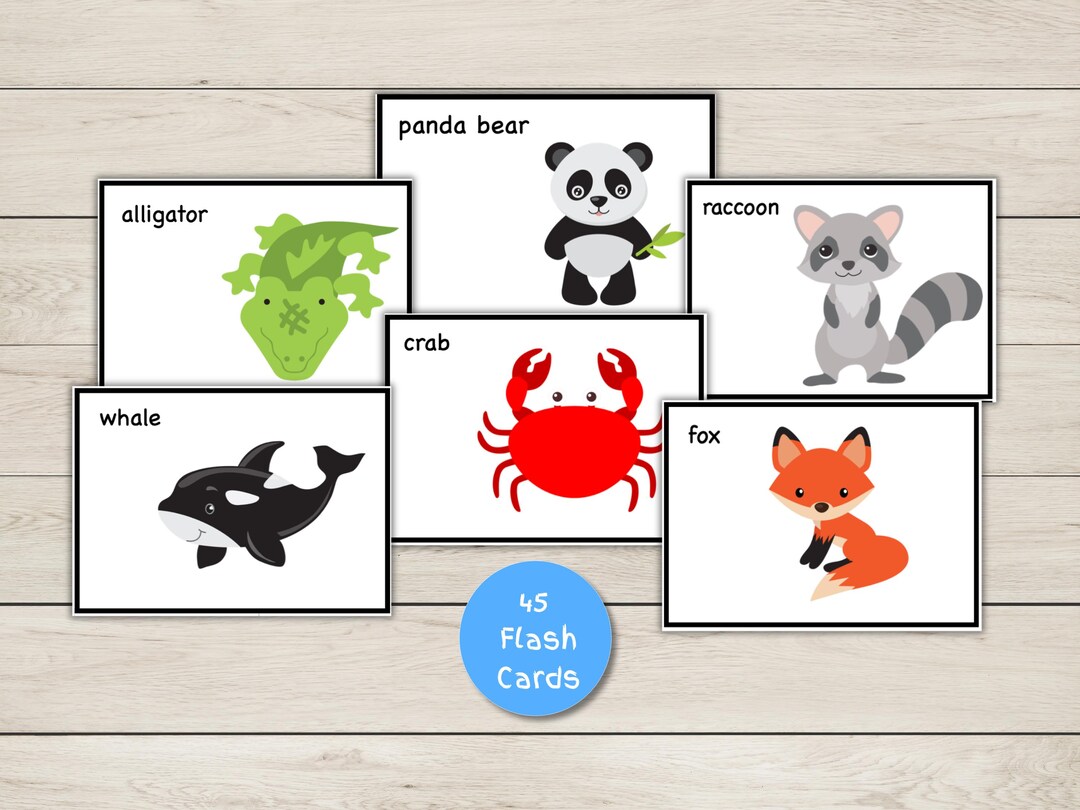 Animal Flash Cards - Laminated Learning Cards With Zip Pouch - Etsy