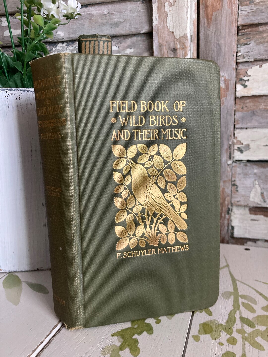 Antique Field Book Wild Birds and Their Music 1921 Edition F. Schuyler ...