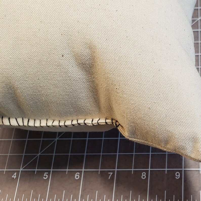 Does This Pillow Smell Like Chloroform to You? ~ Throw Pillow, Novelty ...