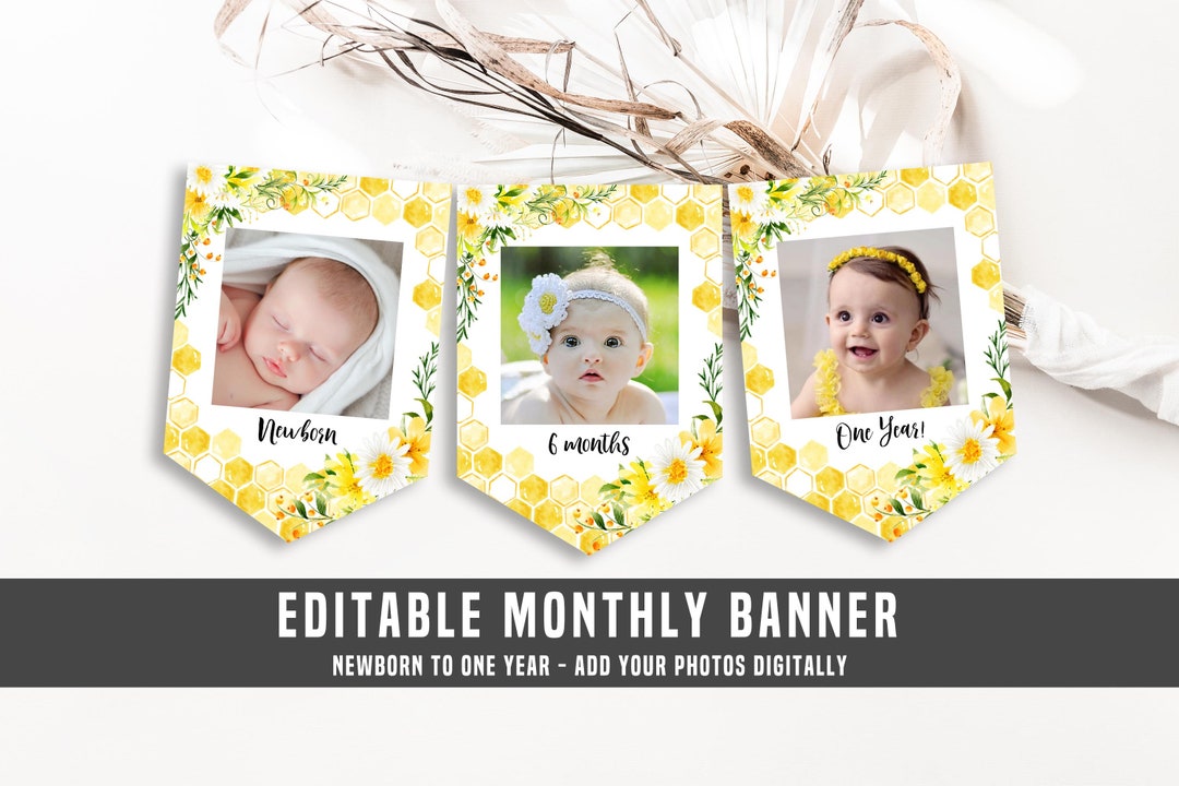 Editable Bee Monthly Banner, Honey Bee 1st Birthday Photo Banner ...