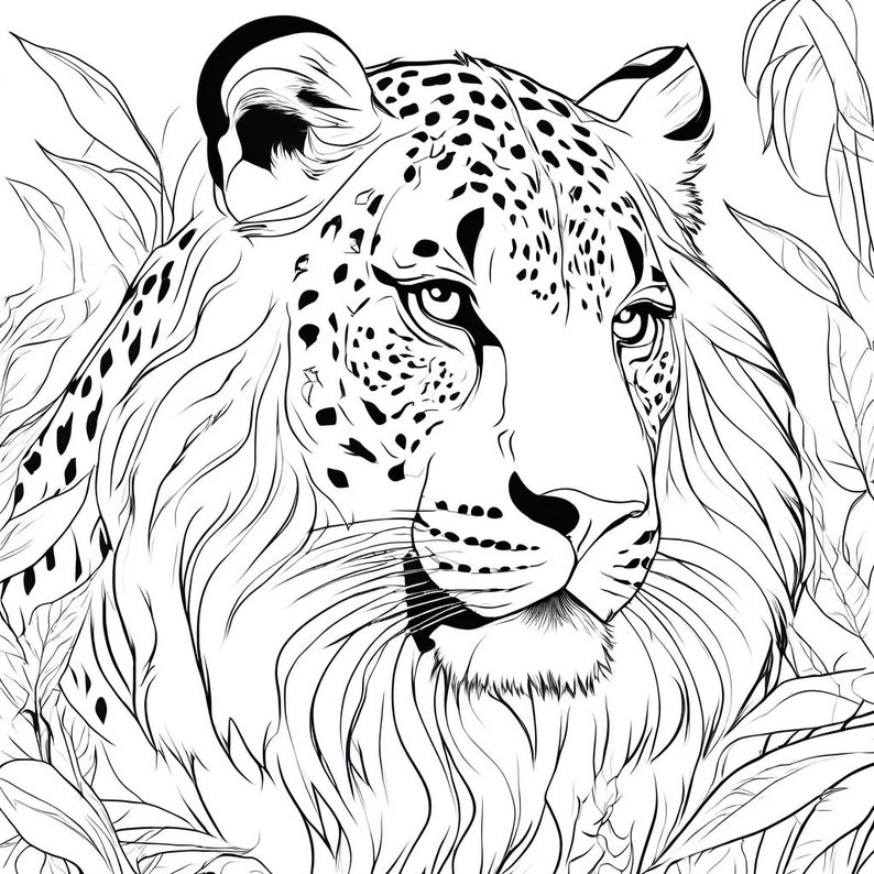 Big Cats Coloring Book - Etsy